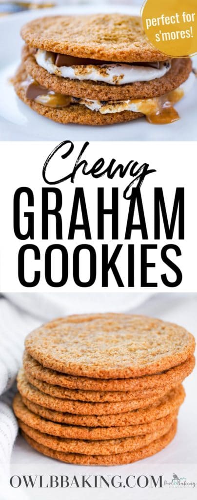 Chewy Graham Cookies - OwlbBaking.com